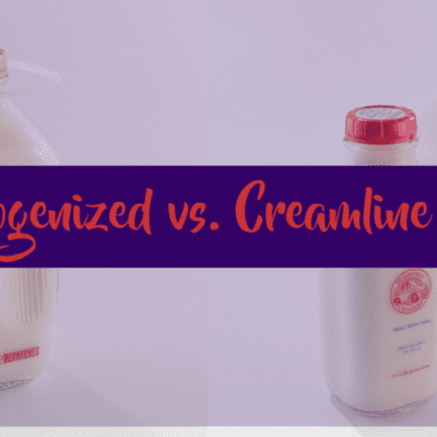 Creamline vs Homogenized Milk | Homestead Creamery